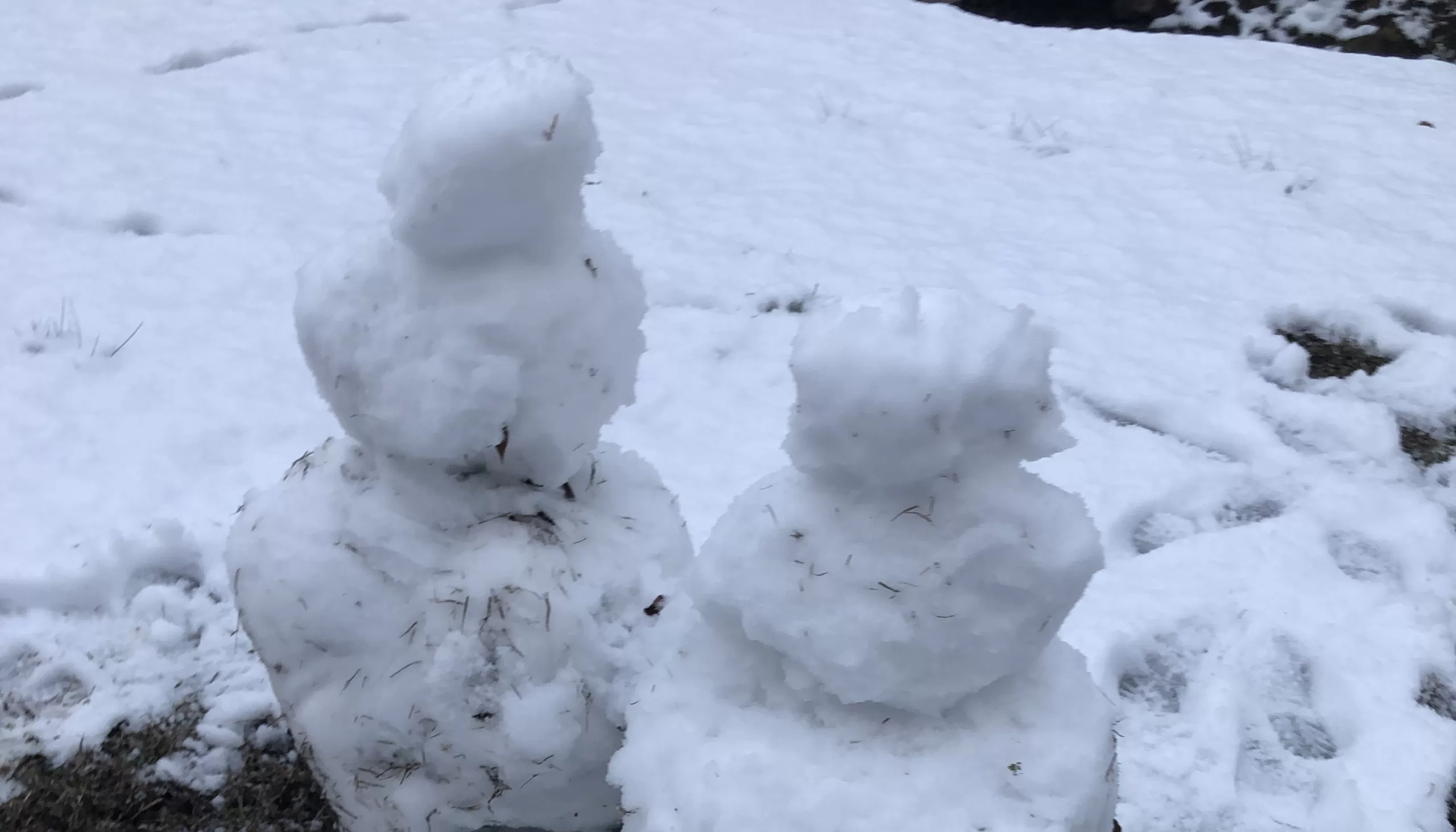 Embracing the Cozy: A Guide to Enjoying a Snow Day Indoors - Life's ...